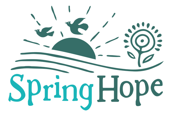 The PERFECT Cookie – Spring Hope